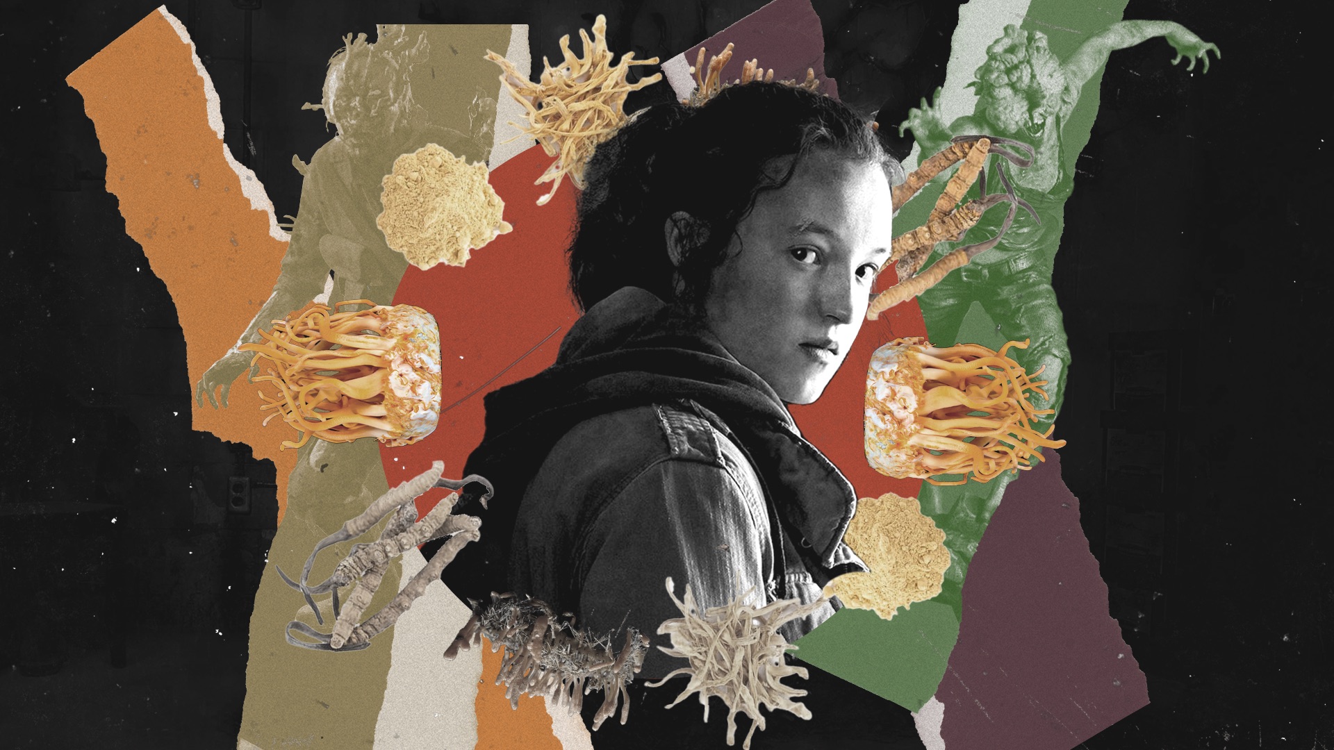 What a Zombie Apocalypse Can Teach Us About the Fight for Social Justice